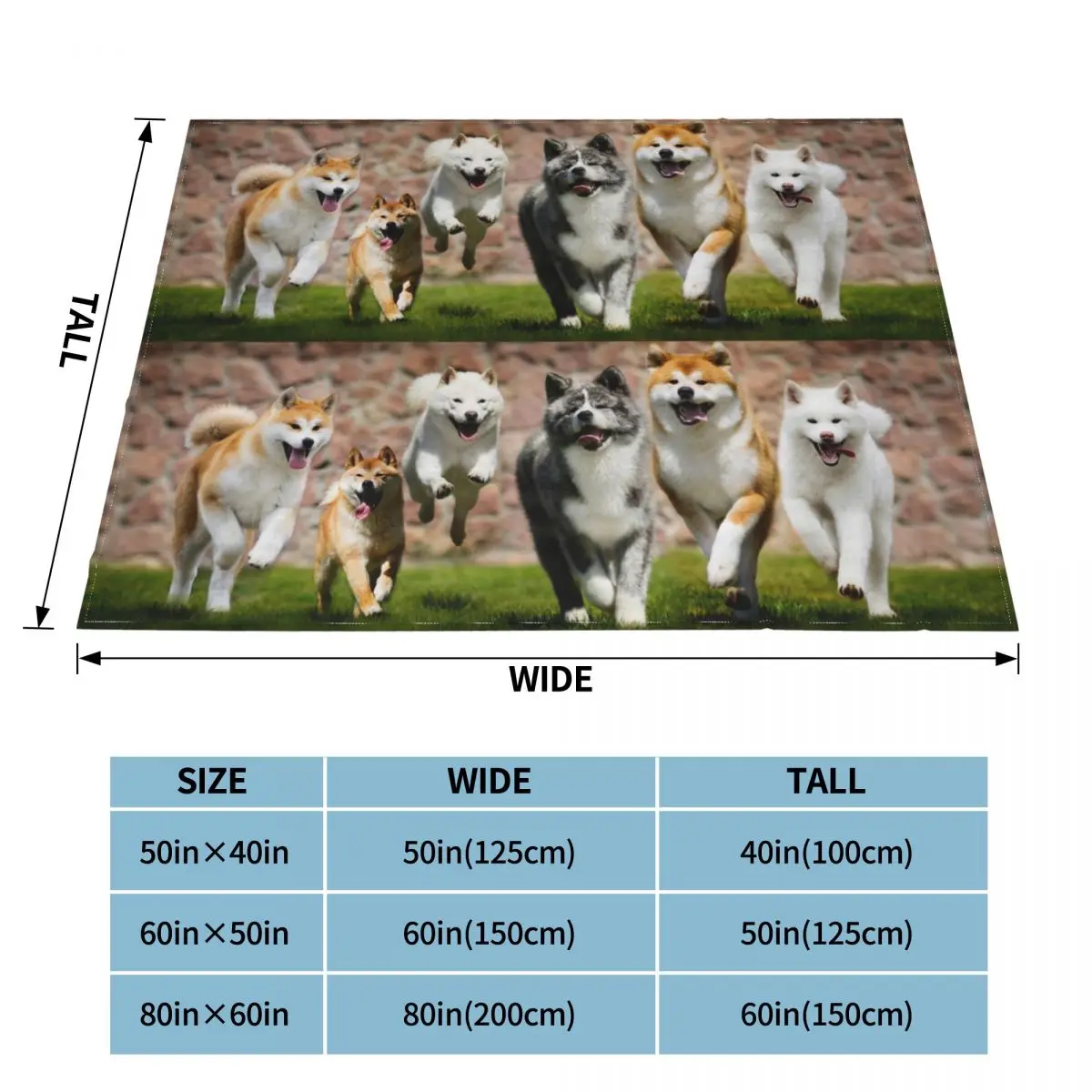 Shiba Inu Size Chart