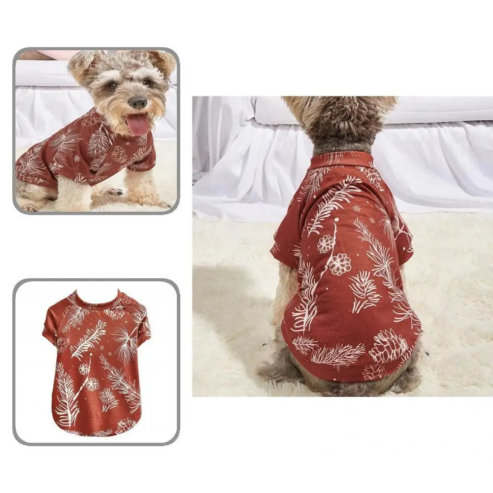 Ótimo cachorro traje atraente filhote de cachorro pulôver bom elástico ...