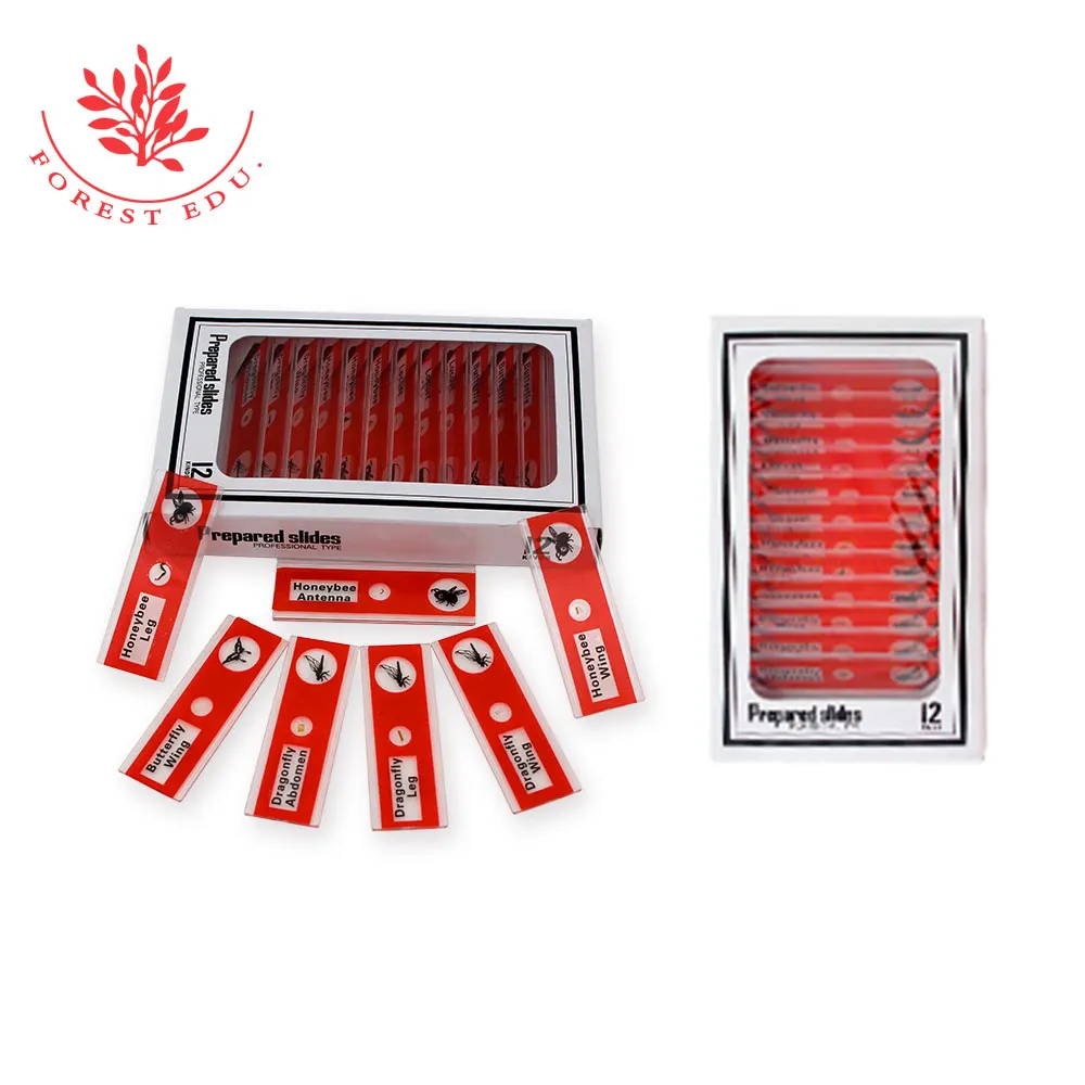 Kid-Science-Kit-12Pcs-Prepared-Microscope-Slides-Set-of-Insect ...