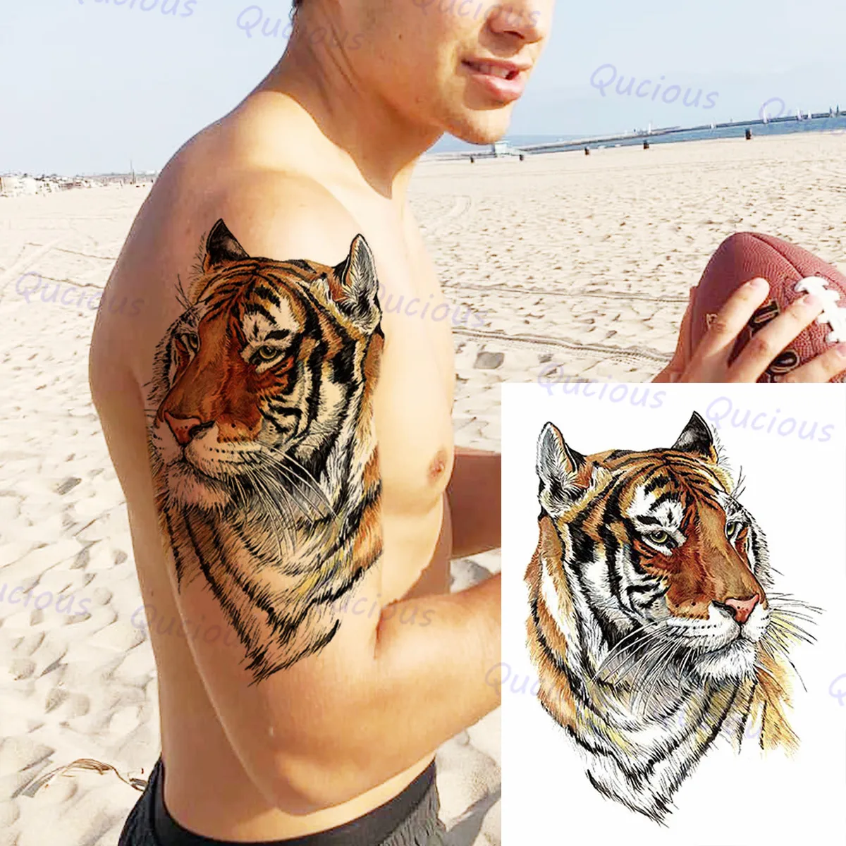 Half Wolf Half Tiger