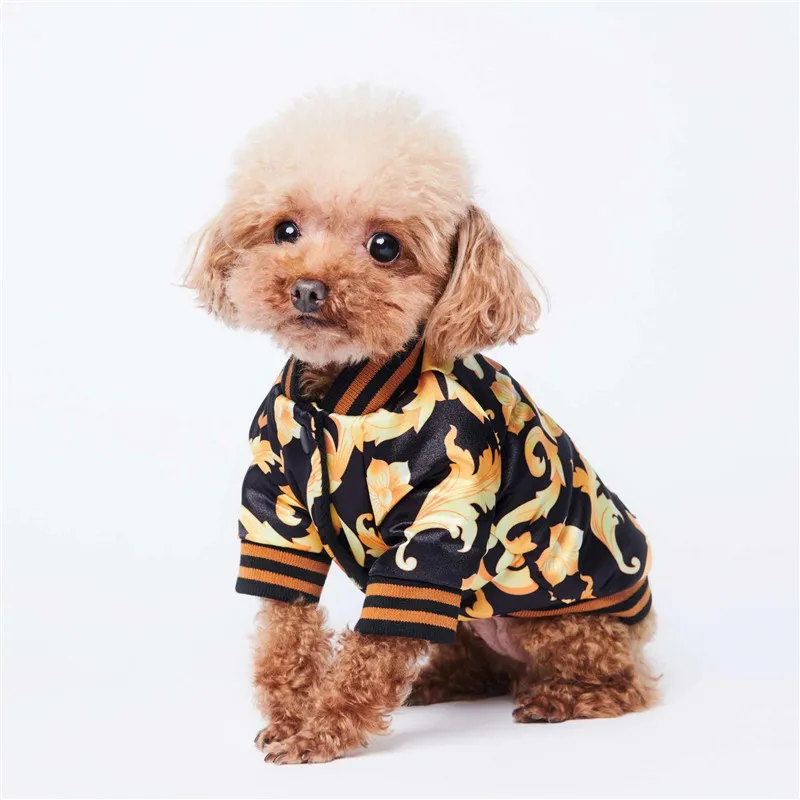 Goldendoodle Clothes