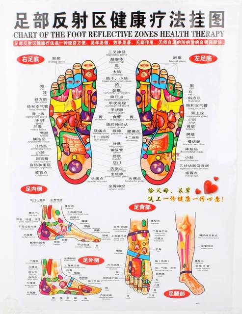 Chinese Acupuncture Foot Chart