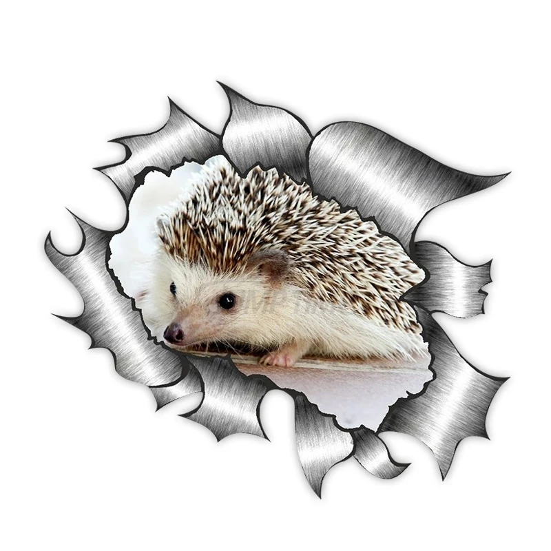 S50170-13-15-17CM-Personality-PVC-Decal-Hedgehog-Car-Sticker-on ...