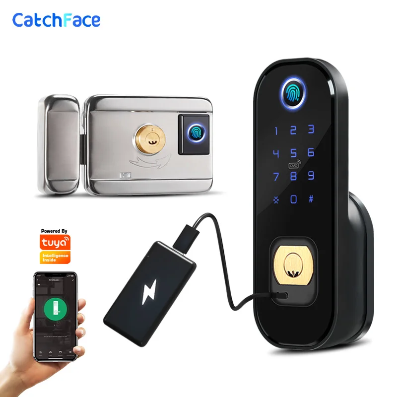 Electronic Door Lock DOUBLE SIDED Garden Outdoor Gate Lock Tuya app ...