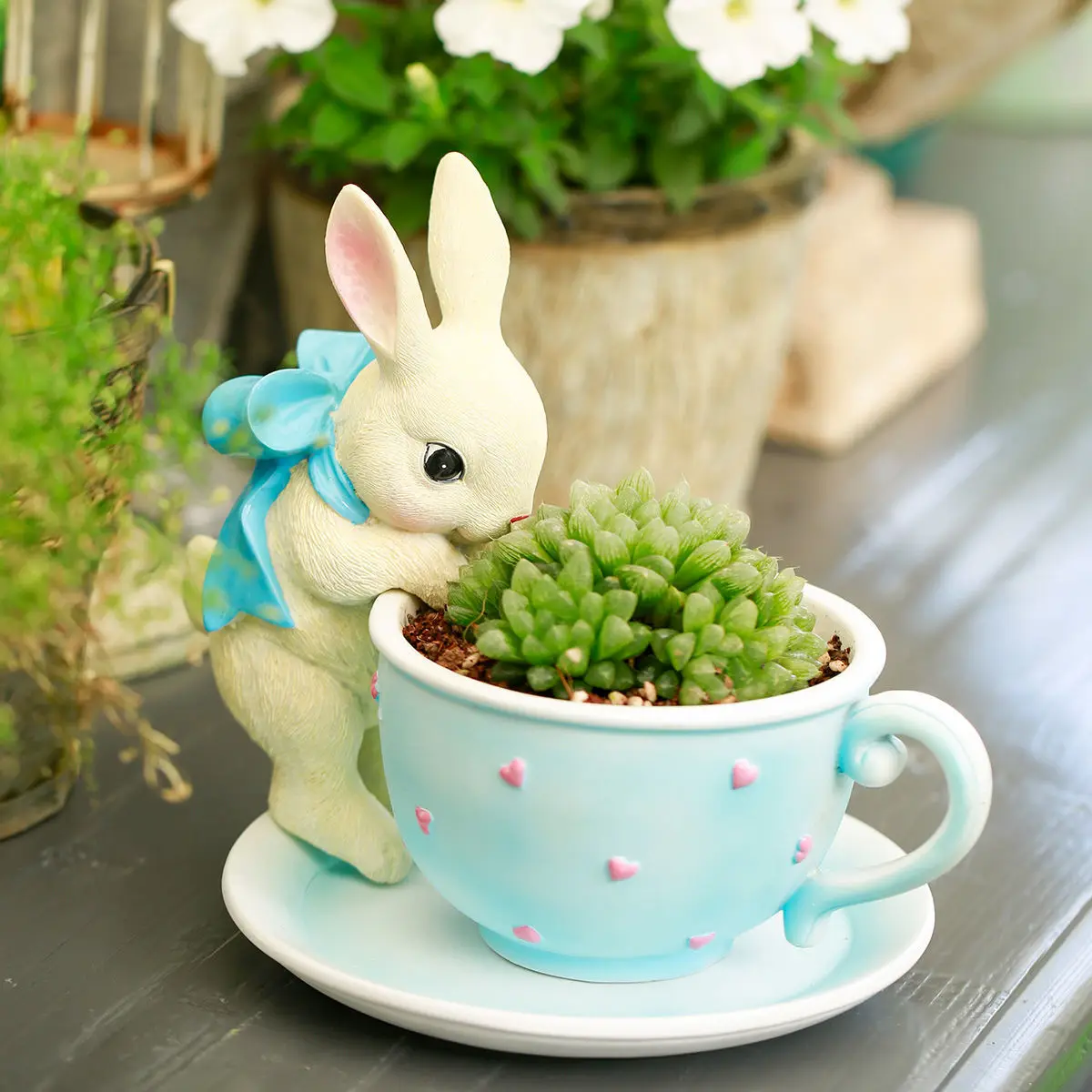 Cute Teacup Bunnies