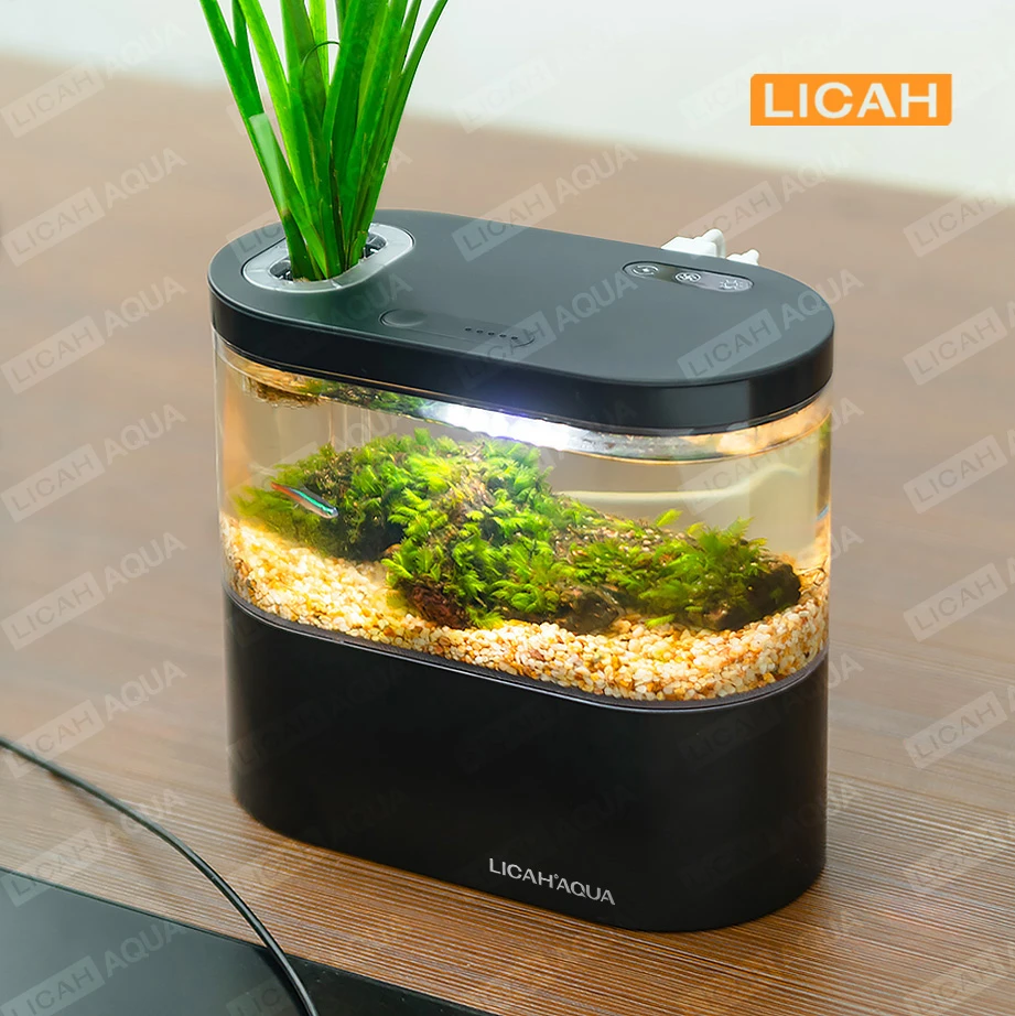 Mini Usb Aquarium Desktop Fish | Aquarium Mini Pump | Led Light Filter ...