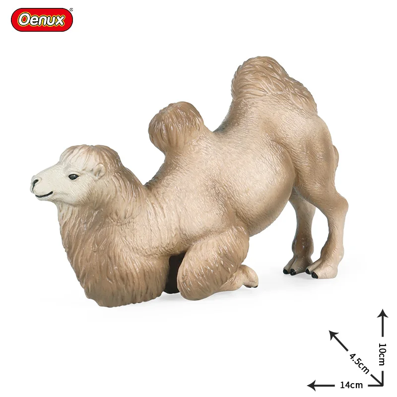 Camel Figures