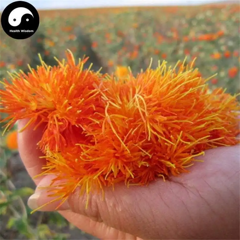 Ini Dia! Gambar Tanaman Asal Carthami Flos yang Wajib Diketahui ...