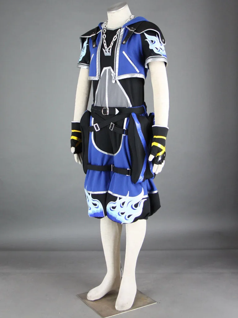 Kingdom Hearts Sora Wisdom Form