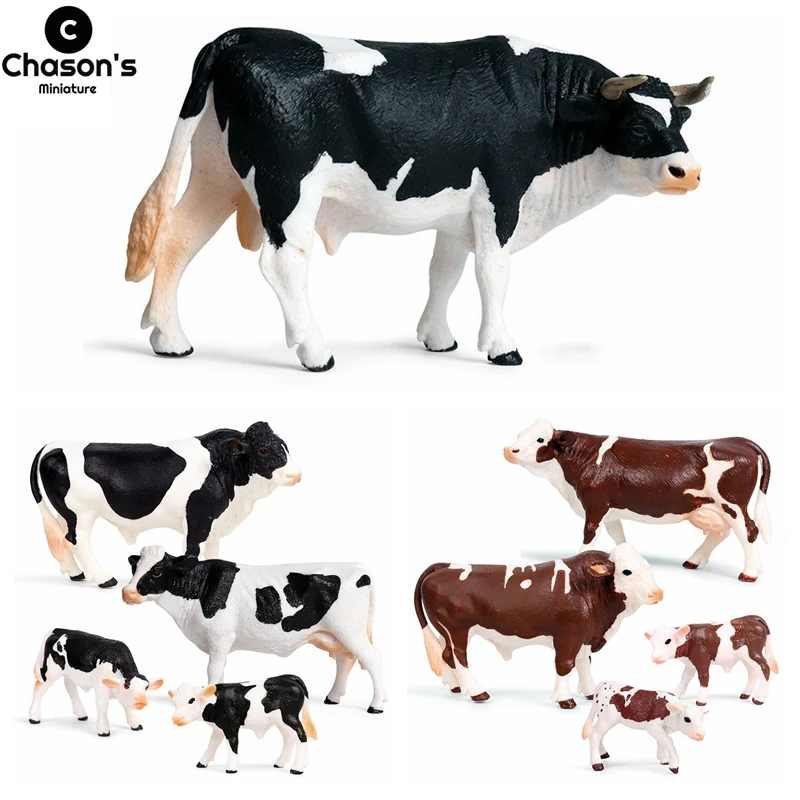 Miniature Holstein Cows