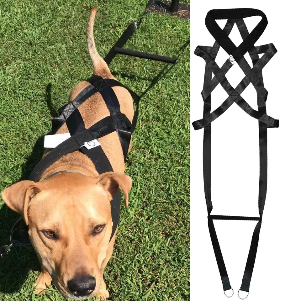 Dog Sled Pulling Harness