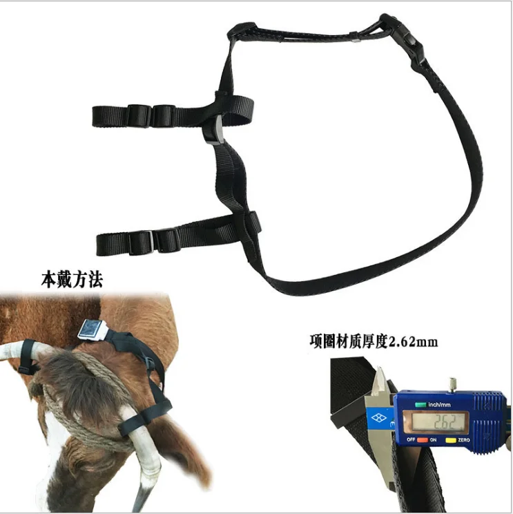 Solar Gps Tracker Collar Holder Large Animals Neck Collar Belt For Big ...