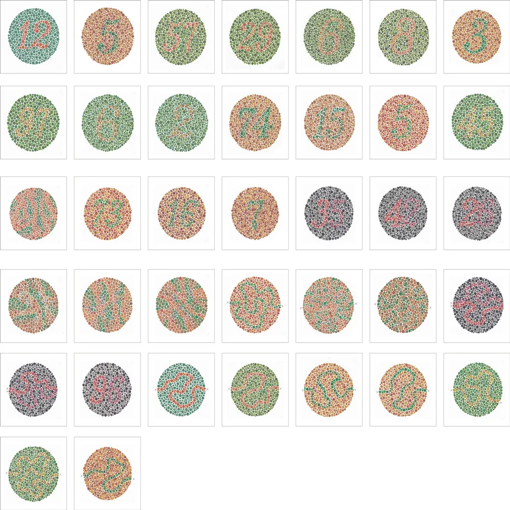 Ishihara Test Book 38 Plates Seller Vintage | www.oceanproperty.co.th