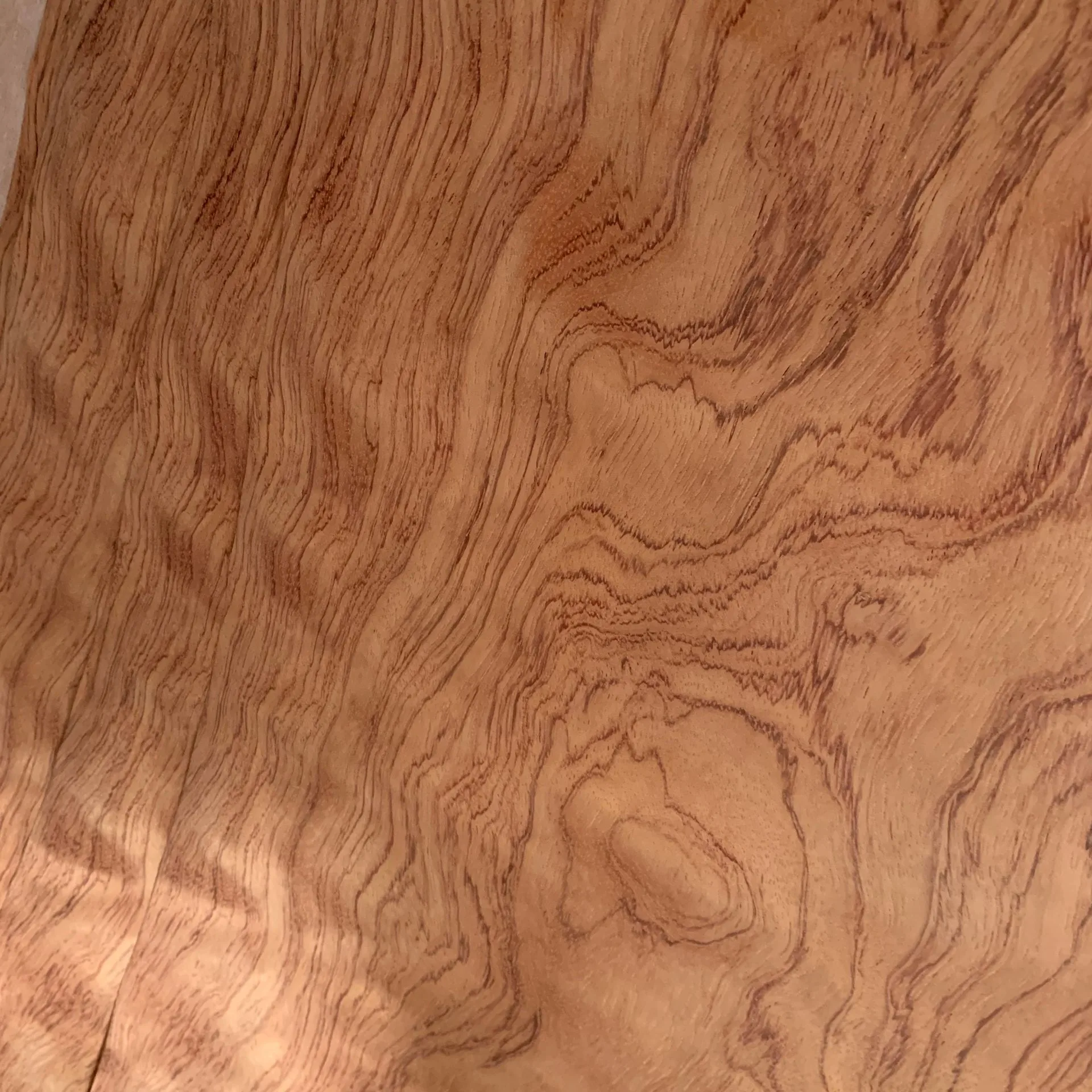 Decorative Wood Veneers