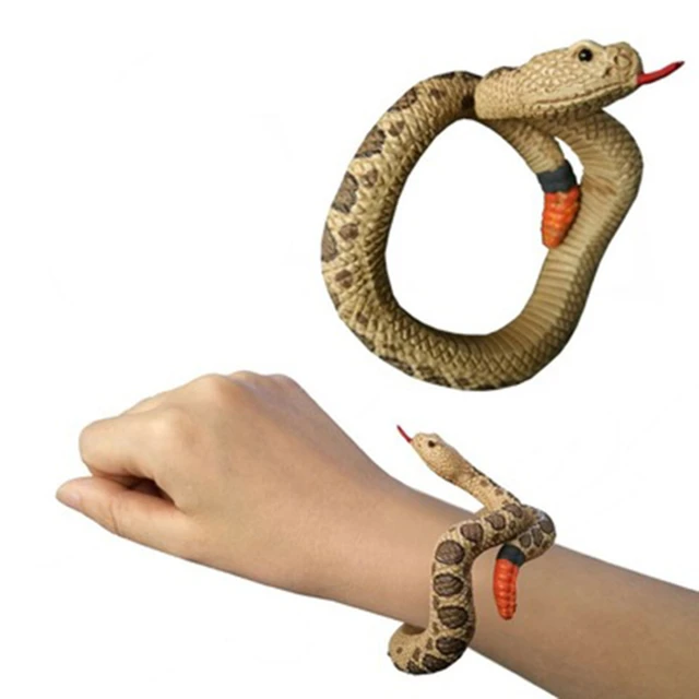 Funny Snake Pictures For Kids