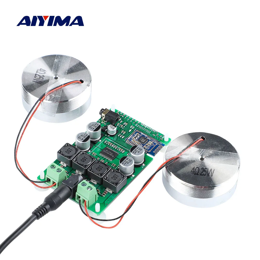 Aiyima Audio 2 Inch Portable 25w Resonance Vibration Speaker Tpa3118 Bluetooth 5.0 Amplifier ...