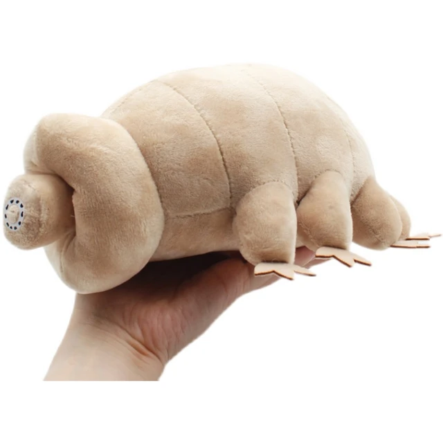 Real Water Bears