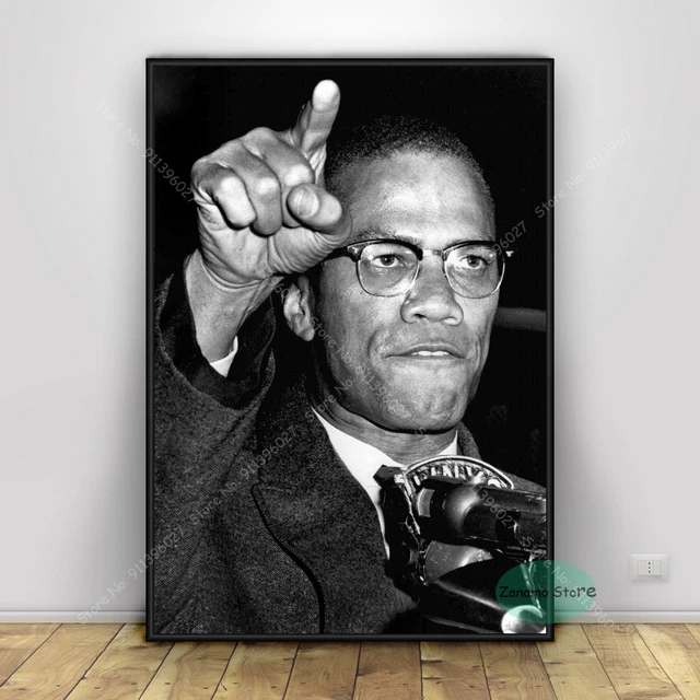 Malcolm X Gun Poster