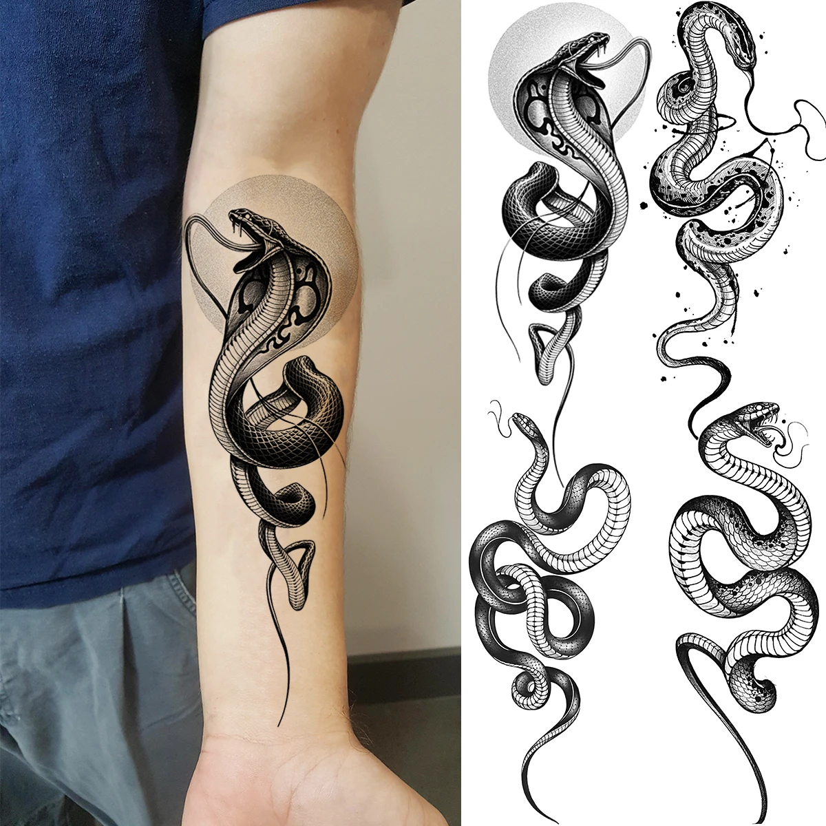 Cobra Snake Drawings Realistic