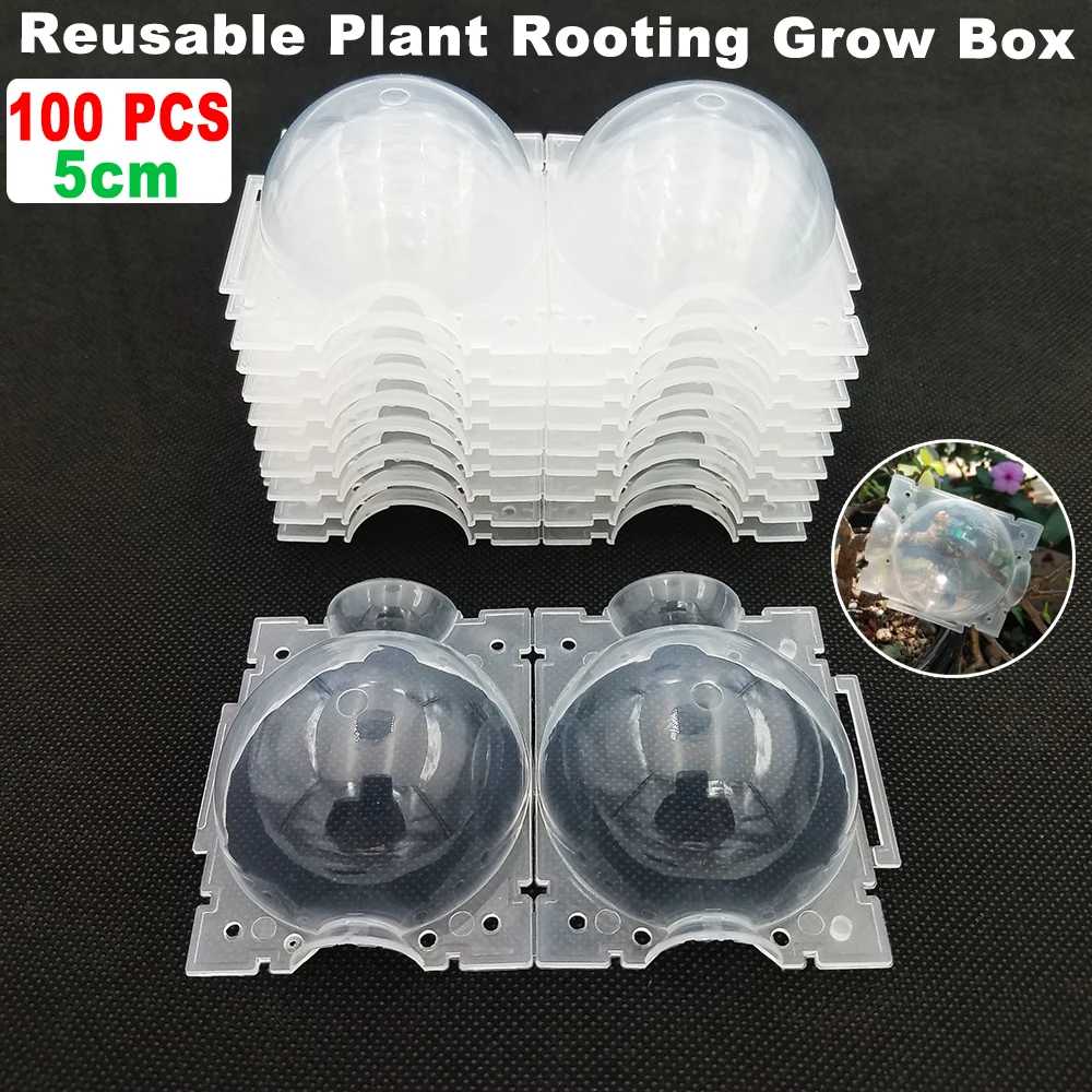 100pcs Plant Grafting Root Balls Clear Rooting Growing Box Reusable ...