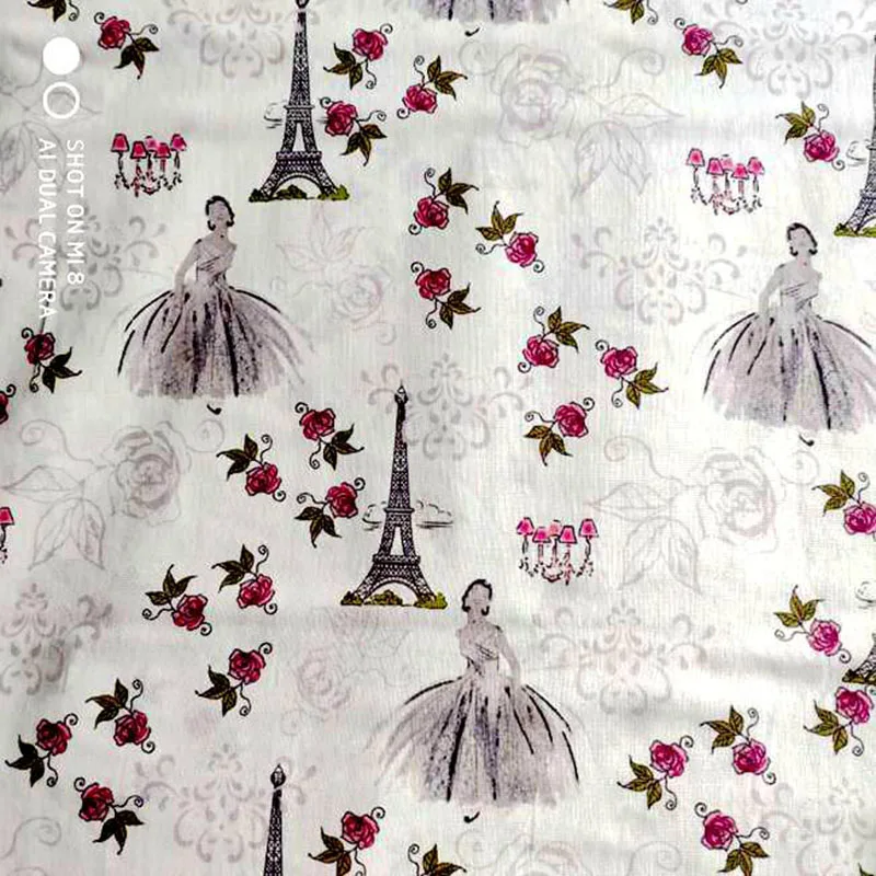 Paris Themed Fabric