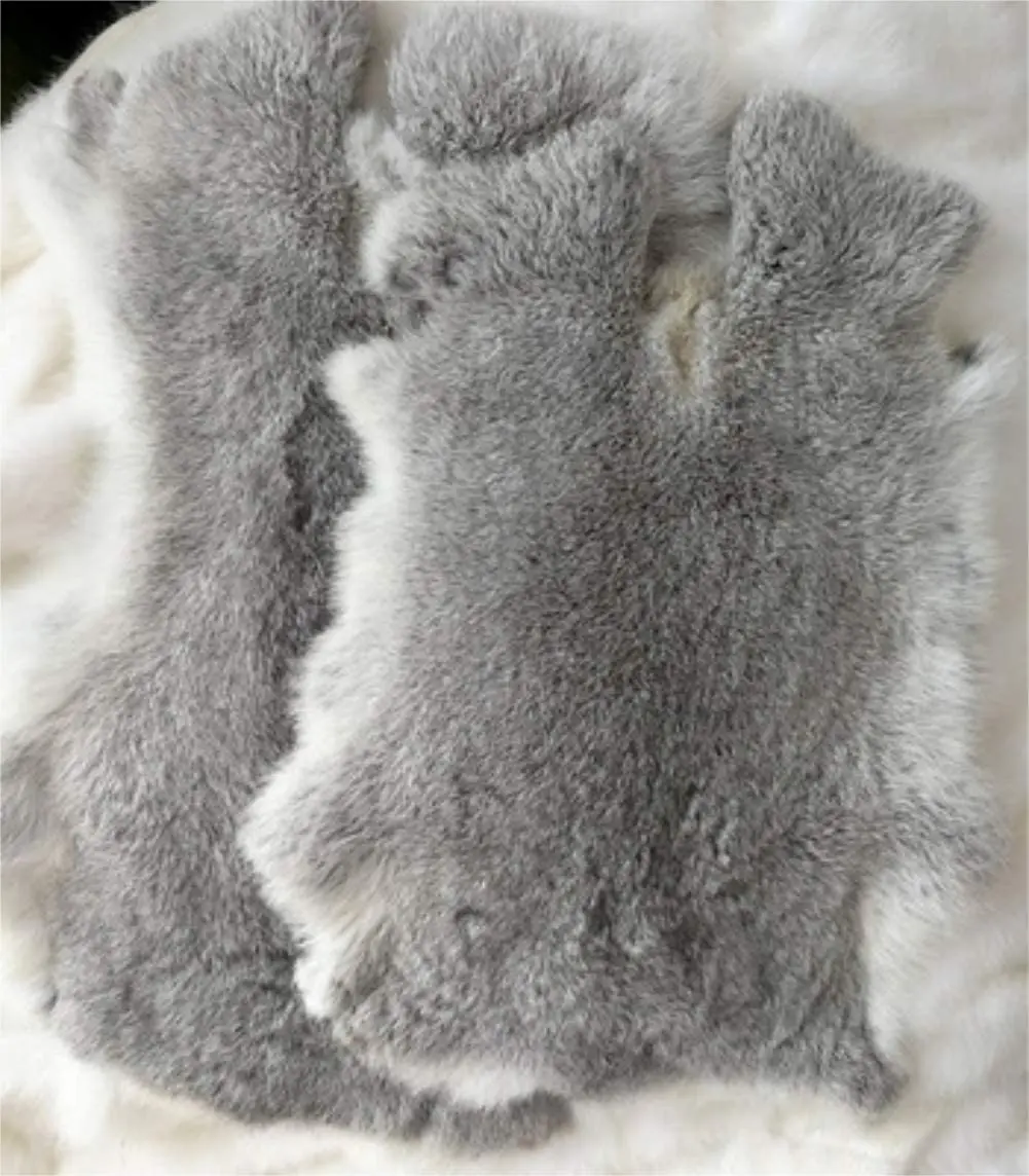 1/2/3/5Pack Real Natural Tanned Rabbit Fur Craft Grade Rabbit Pelts ...