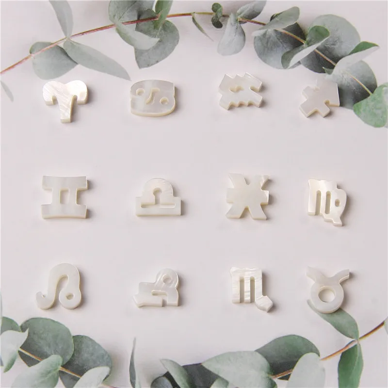 12 Zodiac Constellation Carve Craft Shell Beads Charm 9*11 Mm High ...