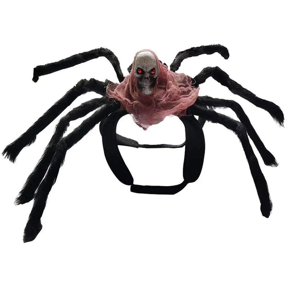 Cat Back Spider Costumes Halloween Creative Cats Dogs Skulls Costumes ...