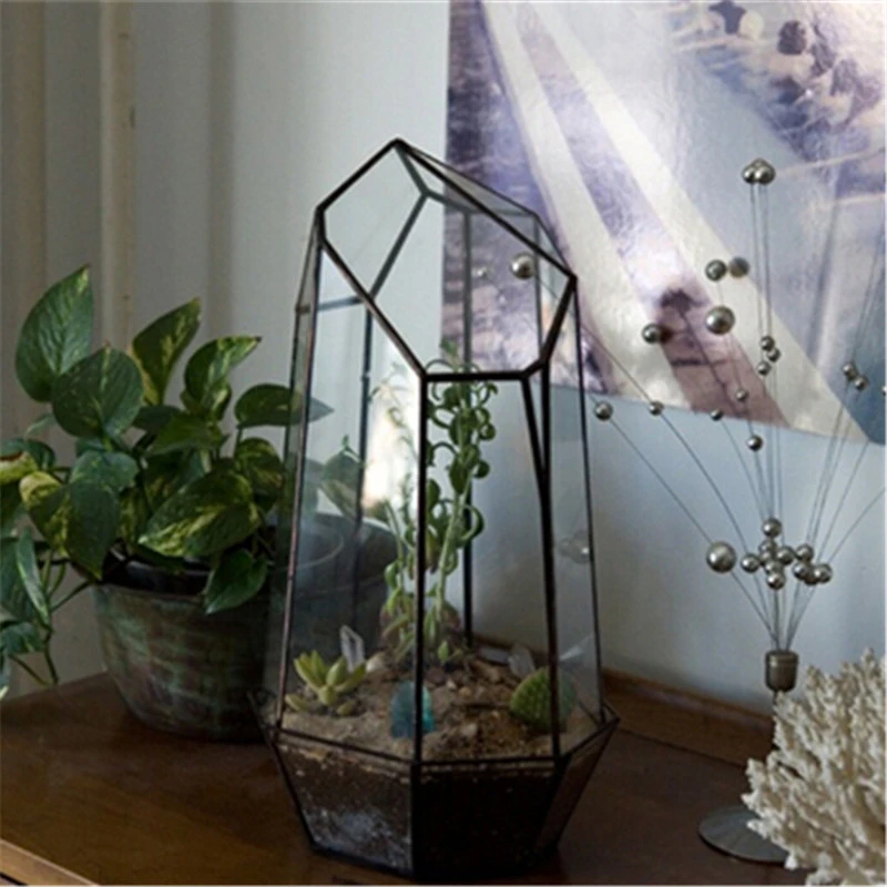 Geometric Irregular Glass Terrariums Tabletop Miniature Garden Vase ...
