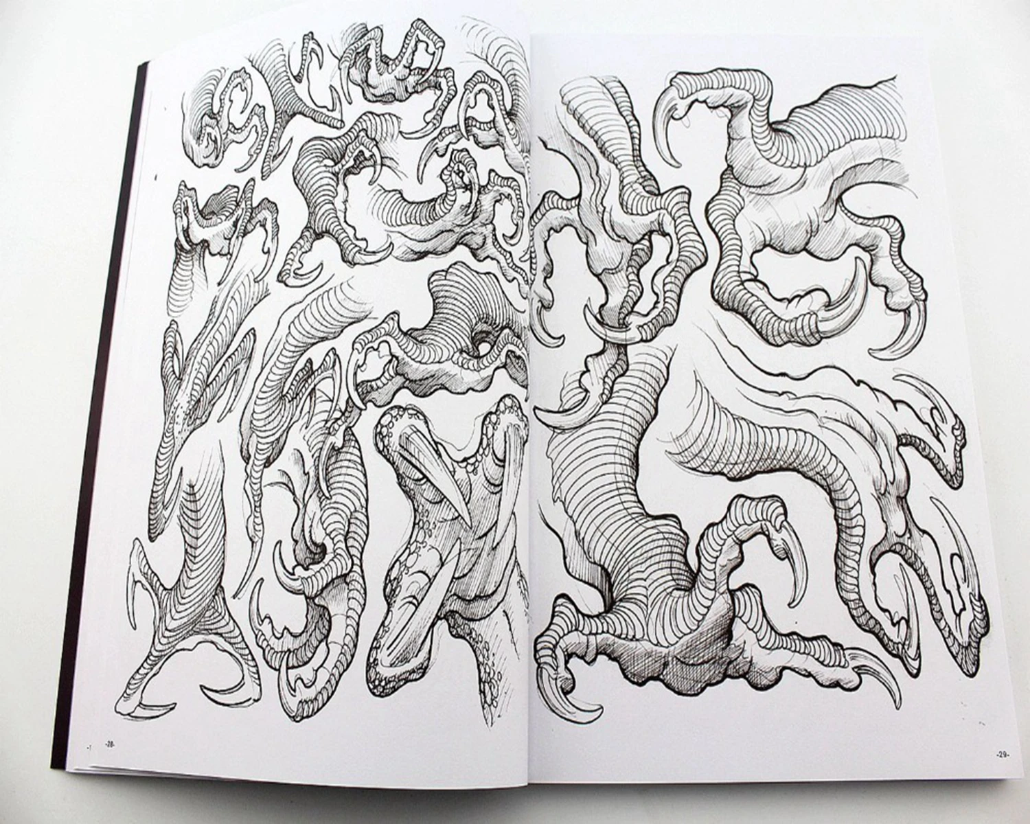 Chinese Dragon Claw Drawing