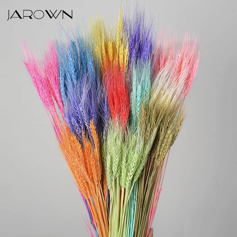 Jarown Natural Wheat Stalks Wheat Dried Flowers Bouquet Plant Decor ...