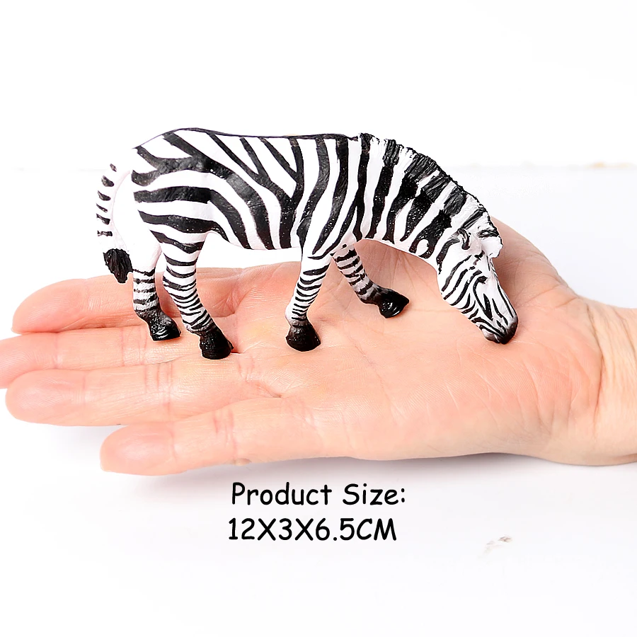 Miniature Zebra