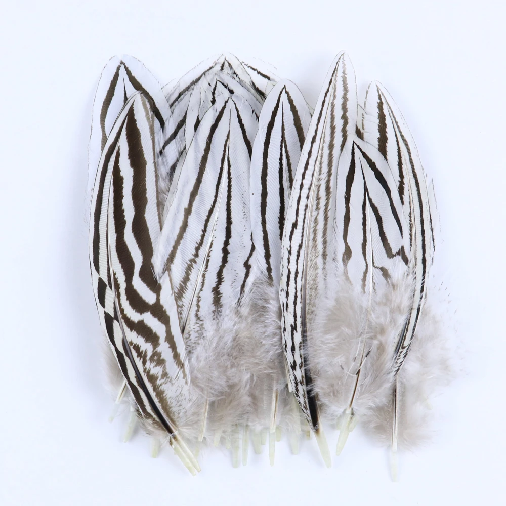 Natural-Pheasant-Rooster-Feathers-5-10-CM-Decoration-for-Jewelry-Making ...