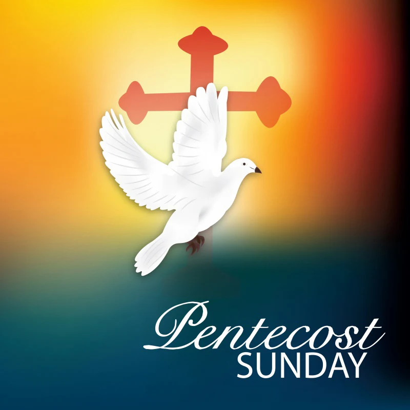 Pentecost Dove Background