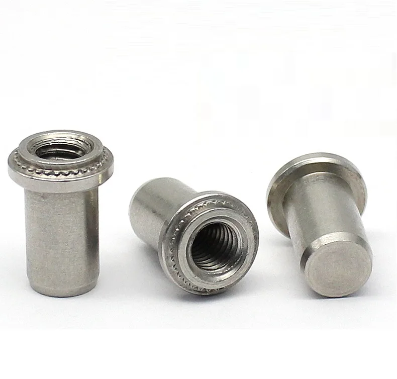 M3 M4 M5 M6 M8 BS 304 스테인레스 스틸 또는 B 탄소 스틸 아연 도금 리벳 너트 컬럼 방수 씰링 너트 폐쇄 스터드 10PCS|너트| - AliExpress