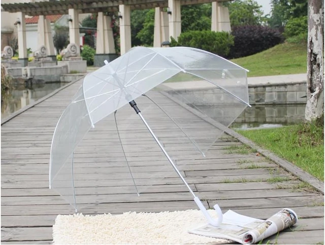 Cute Bubble Umbrellas