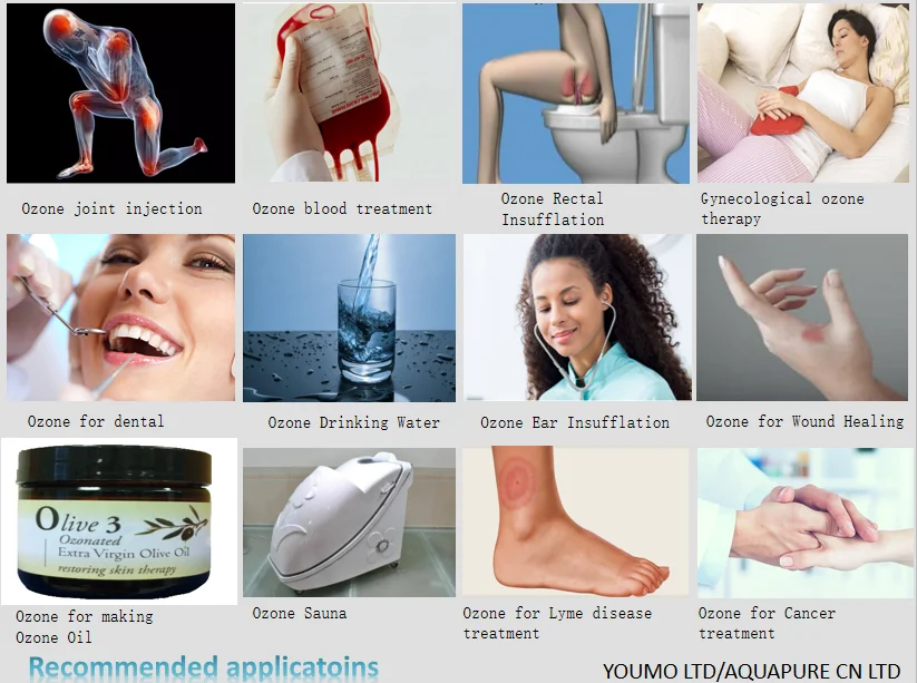 Double Quartz Glass Electrode Medical Ozone Generator with Ozone ...