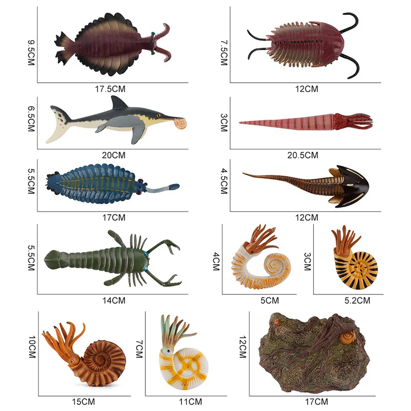 Opabinia Prehistoric Creatures
