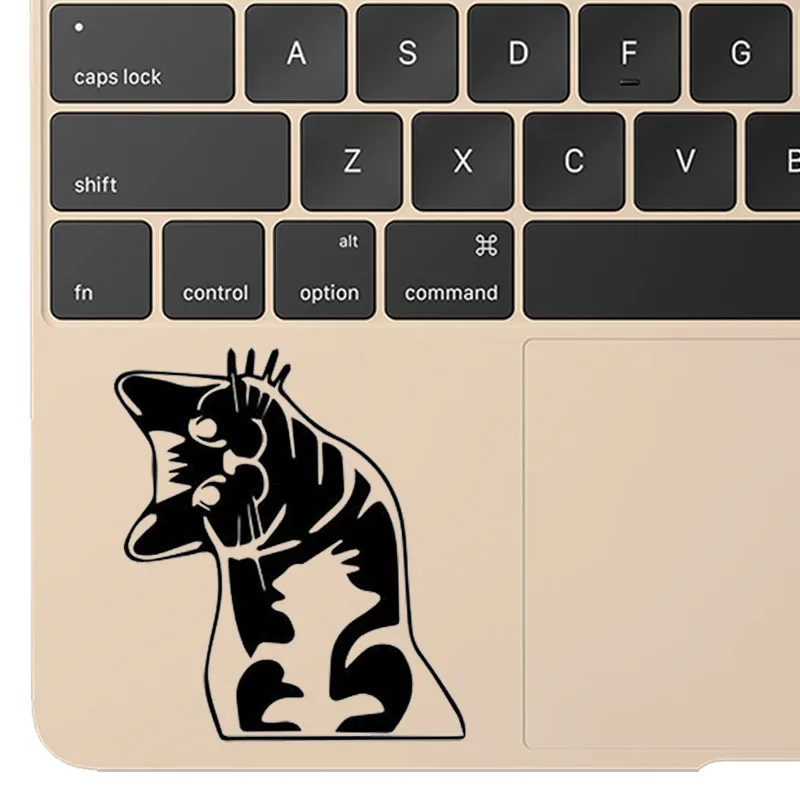 Confused Cat Computer