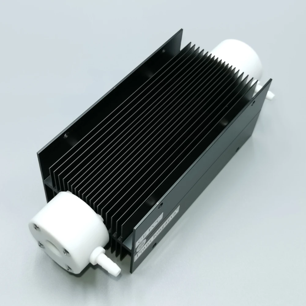 Pinus-longaeva-Extra-Fee-Make-up-the-difference-Please-contact-us-for ...