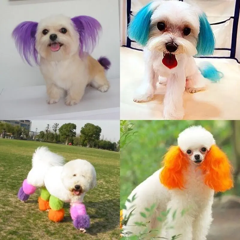 How Do You Bleach A Dogs Hair
