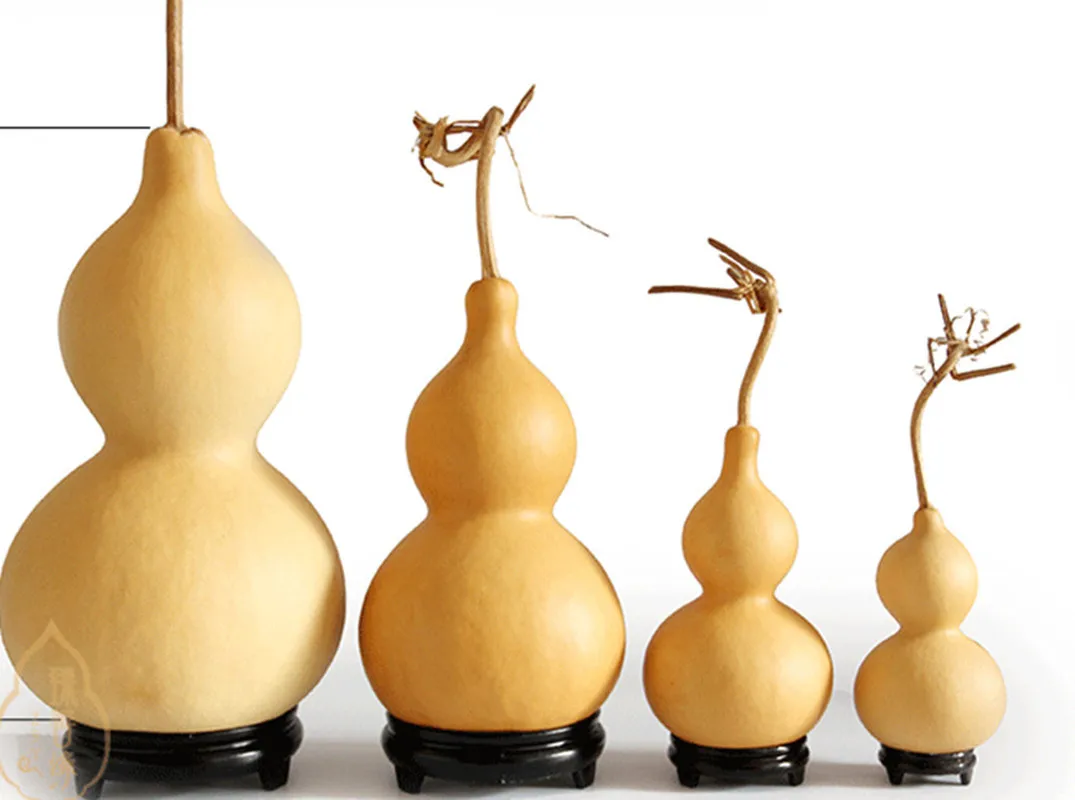 Natural-Dried-Gourds-Craft-Calabash-Gourd-Fengshui-Bagua-Hulu-Dried ...