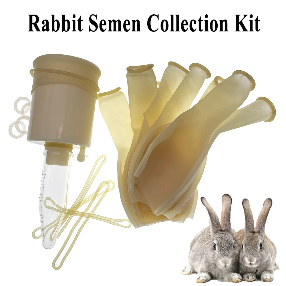 1SET-Rabbit-Semen-Collection-Kit-Sperm-Collect-Artificial-Insemination ...