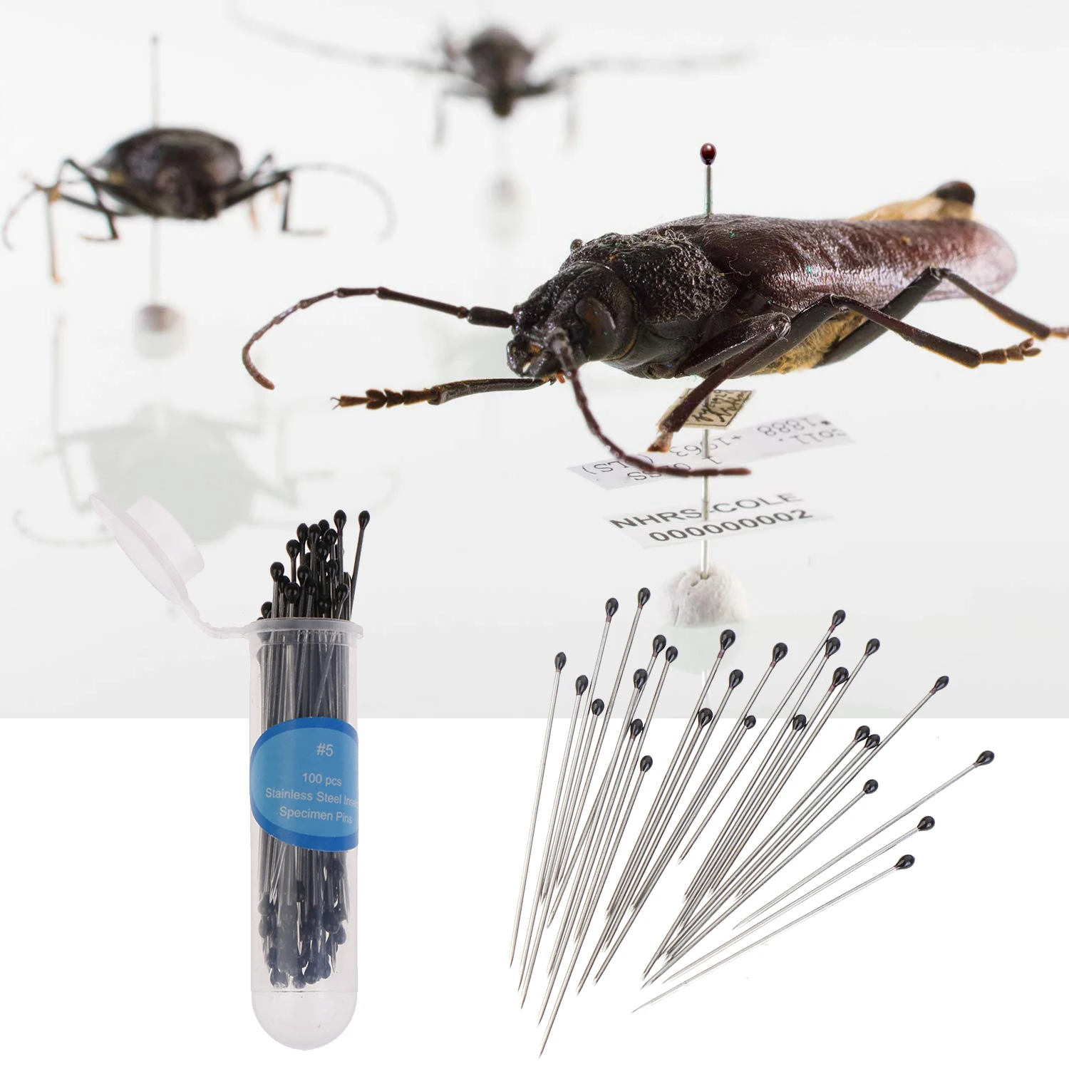 100Pieces-Insect-Pins-Specimen-Pins-Stainless-Steel-Entomology-Pins ...