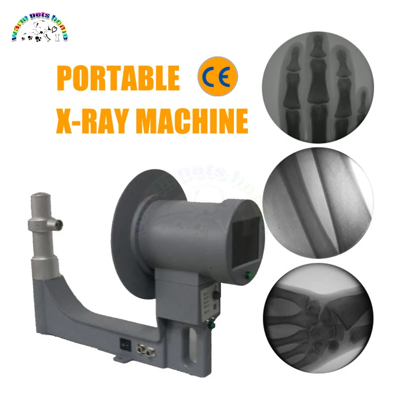 Veterinary Portable Medical X-ray Fluoroscopy Machine Digital X-ray ...