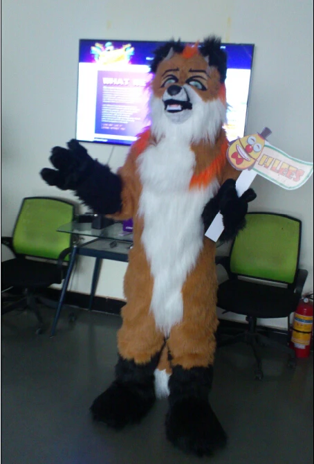 Costume-da-mascotte-del-fumetto-della-testa-della-mascotte-del-lupo ...