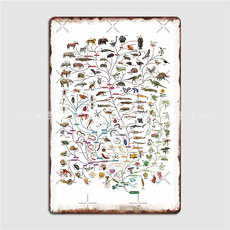 Tree Of Life Evolution Poster