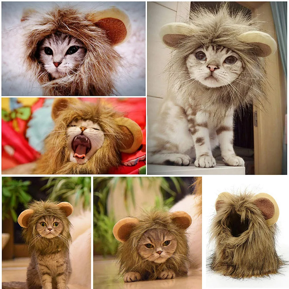 Cats In Lion Costumes