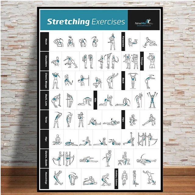 Dumbbell Exercises Diagrams