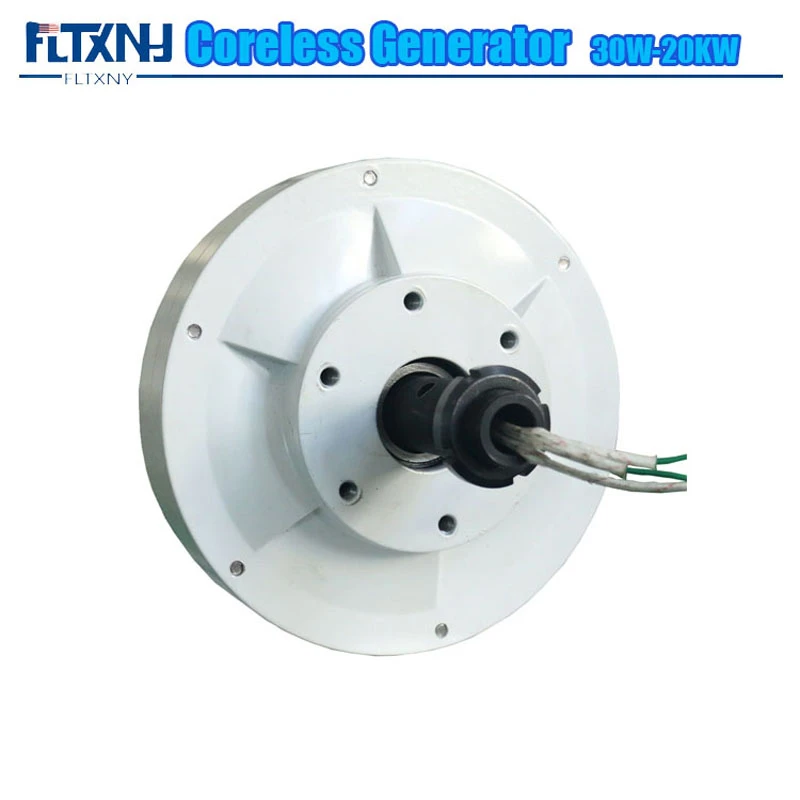 FLTXNY Coreless Maglev Generator 600W 12V 24V 3 Phase 250 RPM 800W ...